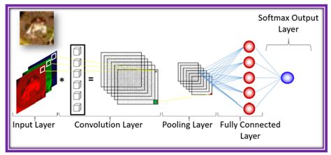 Cerboais Guide Understanding Cnnrnngantransformer And Other