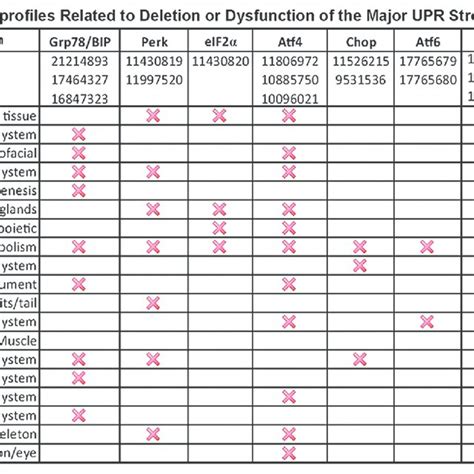 Profiles Of Pathological Phenotypes Of Mouse Models With Unfolded Download Scientific Diagram