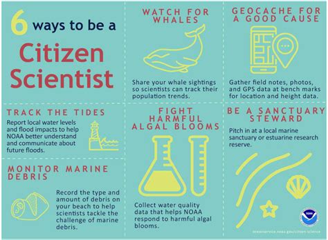 Getting Your Toes Wet Citizen Science As A Means For Long Term Monitoring Oceanbites