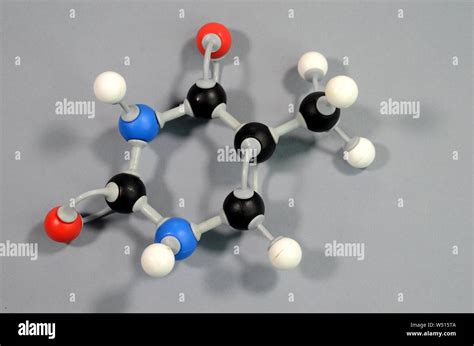 Molecule Model Of The Dna Element Thymine Black Is Carbon Red Is