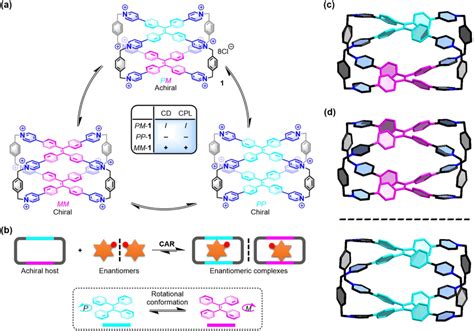 A Schematic Representation Of The Host Guest Complexation Of