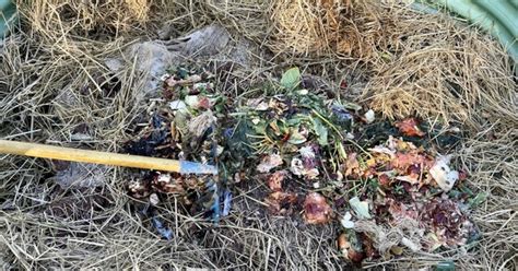 퇴비 만들기가 제일 쉬웠어요