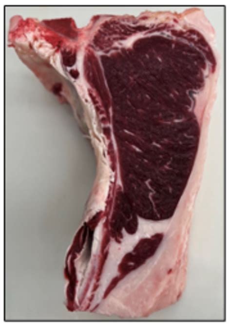 Nebraska Team Identifies New Genetic Defect Impacting Cattle Morbidity