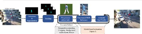 Figure 2 From Online Model Based Gait Age And Gender Estimation Semantic Scholar