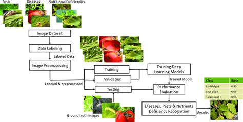 System Overview Of The Deep Learning Based Approach For Plant Diseases Download Scientific