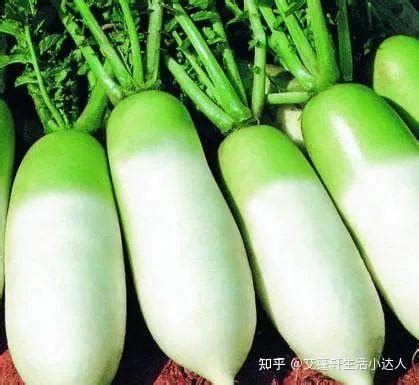 生吃胡萝卜居然还有这些好处 知乎