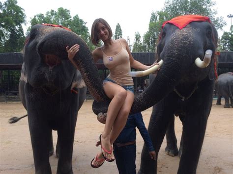 Elephant Riding Porn Pic Eporner