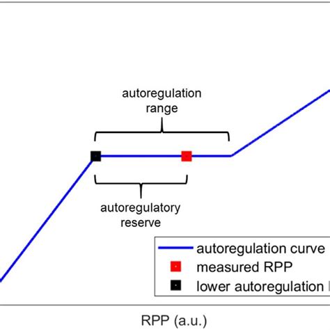 Theoretical Autoregulation Curve Axes In Arbitrary Units Rbf Is