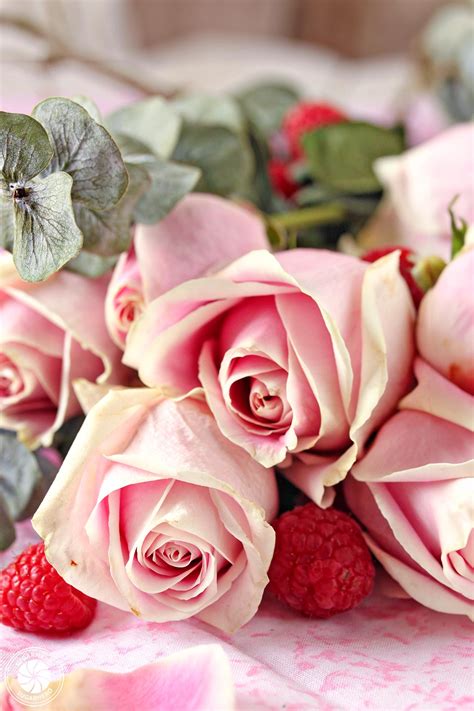 Raspberry Rose Cake Recipe Sugarhero