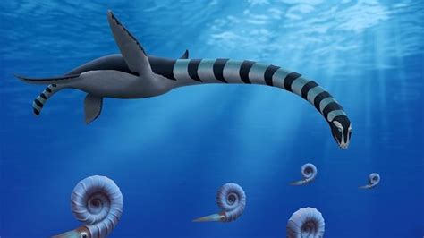 Fossils Found In North America Reveal New Species Of Very Odd Sea