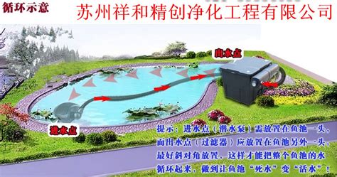 处理鱼池面积10立方水 鱼池鱼塘循环过滤设备 苏州祥和净化