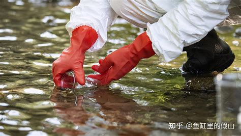 嘉陵江铊浓度异常引热议铊的危害有多大毒性堪比砒霜 知乎