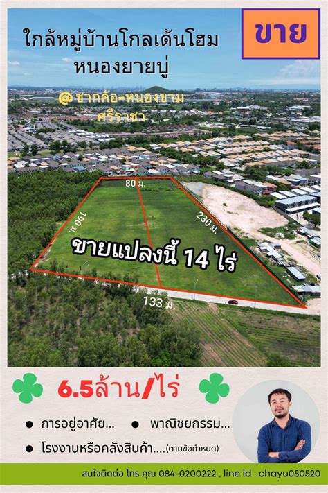 ขายที่ดิน 14 ไร่ ชากค้อ หนองขาม ศรีราชา ใกล้หมู่บ้านโกลเด้นโฮม หนองยายบู่ ที่ดินร้อยแปด คอม