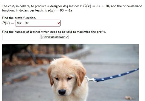 [math 125 Applied Business Mathematics] Need Help Determining The Profit Equation And Finding