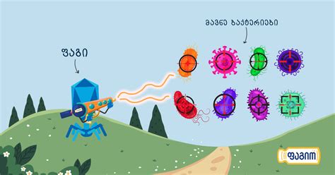 მავნე ბაქტერიები საშიში აღარ არიან ფაგიოს ბლოგი