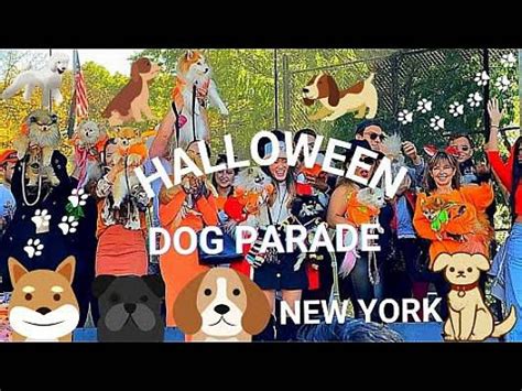 🎃👻~紐約萬聖節狗狗遊行！全球規模最大、狗狗屆的最佳時裝展~👻🎃 寵物貼圖影片