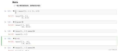 Pytorch基础 Csdn博客
