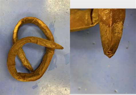 Lab Flashcards Quizlet