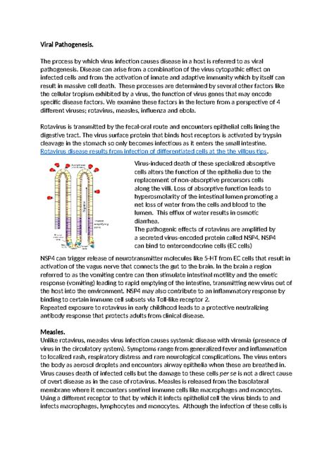 Virus Pathogenesis Notes Viral Pathogenesis The Process By Which