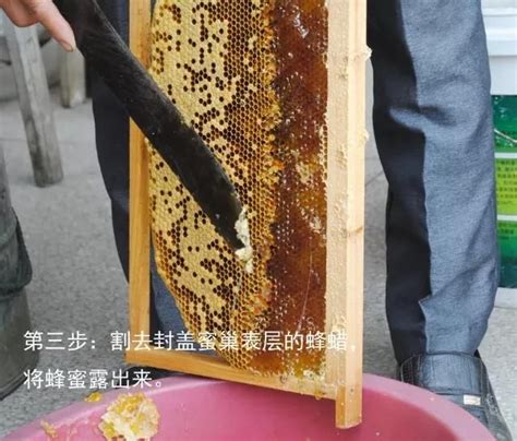 为什么蜂蜜里面有杂质 闪电鸟