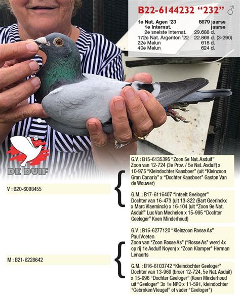 Broeckx Van Hees 1e Internat Agen Jaarse De Duif