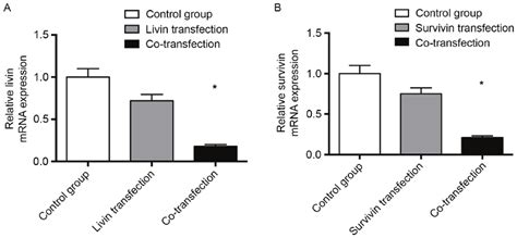 Reverse Transcription Quantitative Polymerase Chain Reaction Analysis Download Scientific