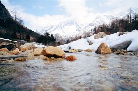 Bacb Ethics Code For Rbts