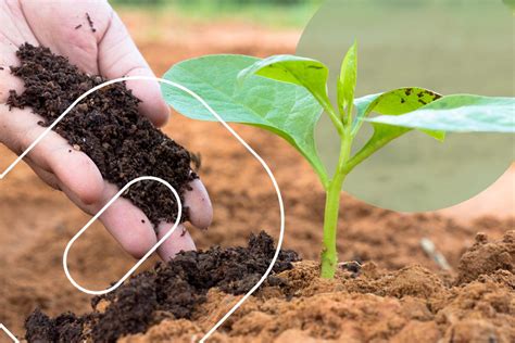 How Does Composting Work Here S What You Should Know Environment Co