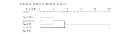 Hierarchical Cluster Analysis Average Linkage Between Groups Squared