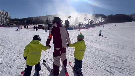 스키장 시즌권 평창 휘닉스파크 2425 시즌패스 강원도 스키장 네이버 Tv