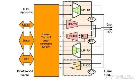 C Phy 和 D Phy知识点保姆式讲解（图文并茂值得收藏） 知乎