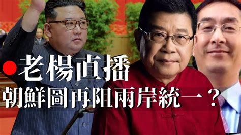 鄭重推薦旅英國際政治學者岳健勇先生對朝鮮半島局勢以及中國所處的國際環境美國對華政策對台政策本質性意義的變化趨勢等問題的看法角度不同