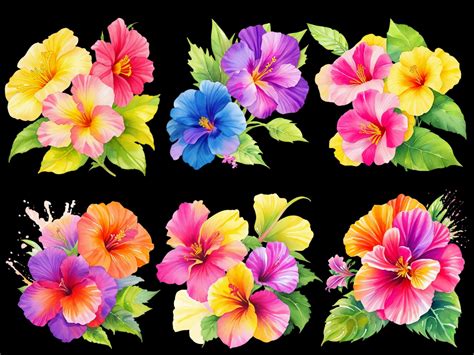 Watercolor Hibiscus Flowers Clipart 30 Png Hibiscus Clip Art Hawaiian