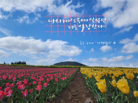 캘리그라피 손글씨 작업해드립니다 붓글씨디지털작업 콜 크몽