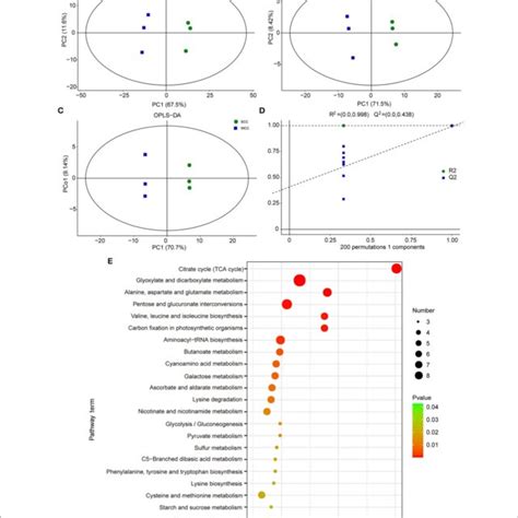 Multivariate Statistical Analysis Of The Differentially Synthesized