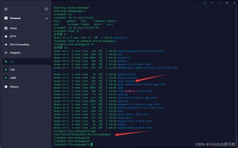 解决pyspark，spark Connect最后一道关grpcstatusspark Connect Spark Ml Csdn博客