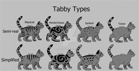 Tabby Variations By Radiant Laurels On Deviantart