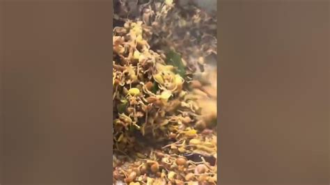 Muthira Thoran Youtube