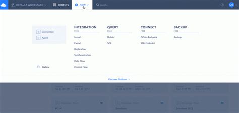 Netsuite Salesforce Integration Using Api And Cloud Connectors