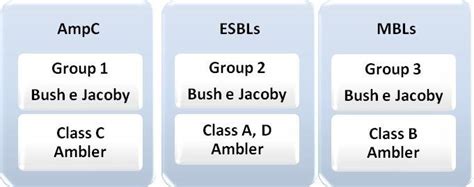 β Lactamases Of Major Clinical Importance According To The
