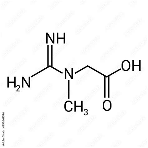 Chemical Structure Of Creatine C4h9n3o2 Stock Vector Adobe Stock