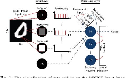 Figure 1 From Unsupervised Sfq Based Spiking Neural Network Semantic Scholar