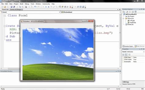 Picturebox Control In Visual Basic Net Icd Youtube