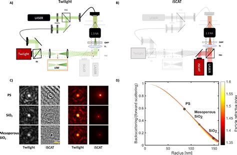Figure 1 From Dual Angle Interferometric Scattering Microscopy For