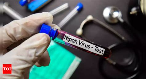 Kerala Five More Samples Test Negative For Nipah Virus