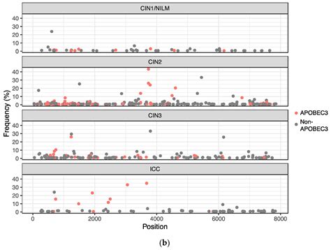 Intra Patient Genomic Variations Of Human Papillomavirus Type 31 In