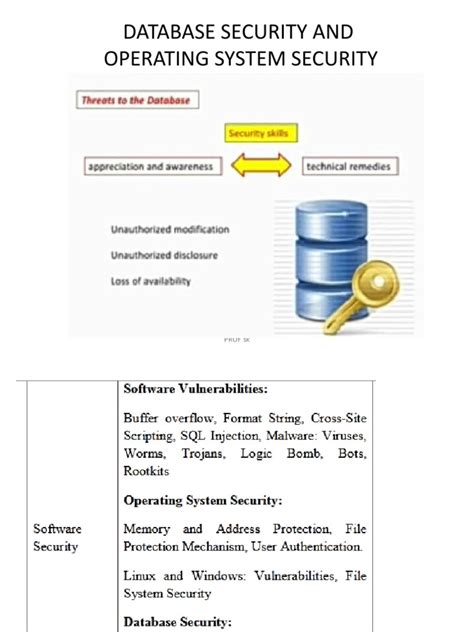 Database Security And Operating System Security Prof Sk Pdf