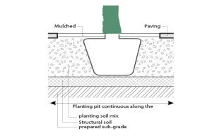 Tree Pits Better Town Toolkit