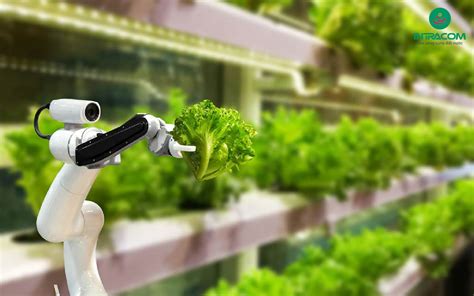 Ứng dụng iot trong nông nghiệp Intracom Group