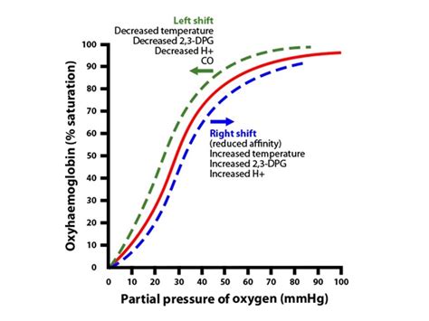 The Edge The Oxyhemoglobin Dissociation Curve Part 1 The Edge The Oxyhemoglobin Dissociation Curve Part 1